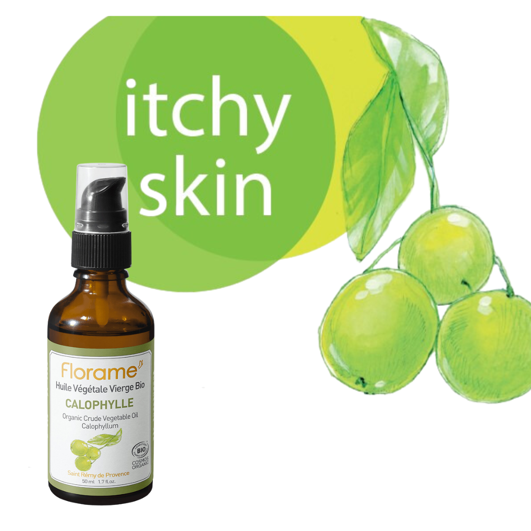 FE CALOPHYLLUM VEGETABLE OIL 50ML