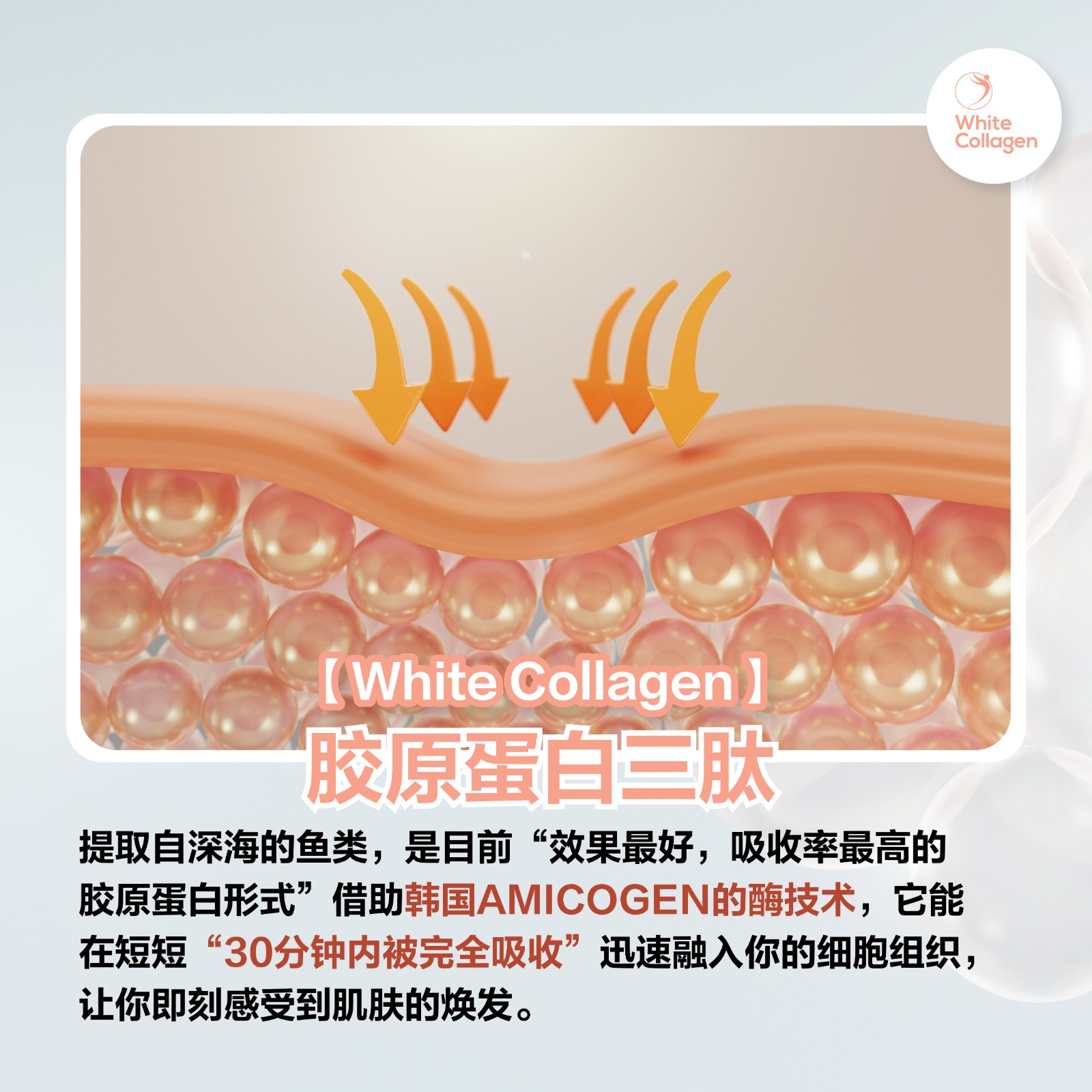 WHITE COLLAGEN CP+
